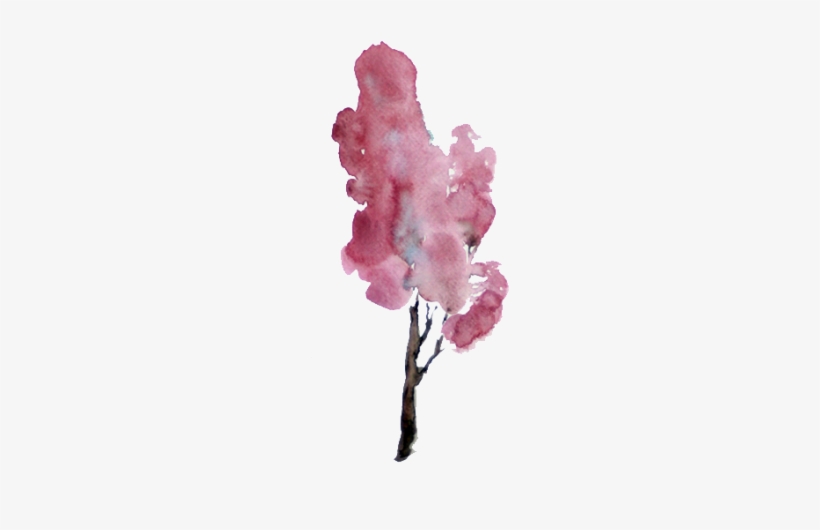 Árbol Rosa - Watercolor Paint - 299x500 PNG Download - PNGkit
