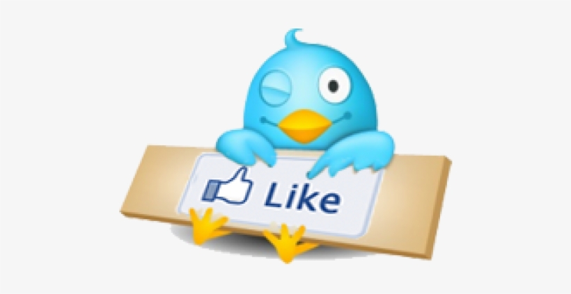 Twitter Concepto - 619x346 PNG Download - PNGkit