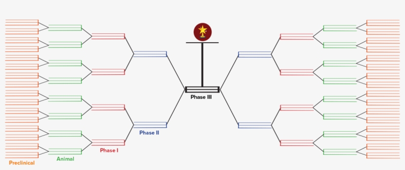 Drug Dev Bracket - Diagram - 1200x449 PNG Download - PNGkit
