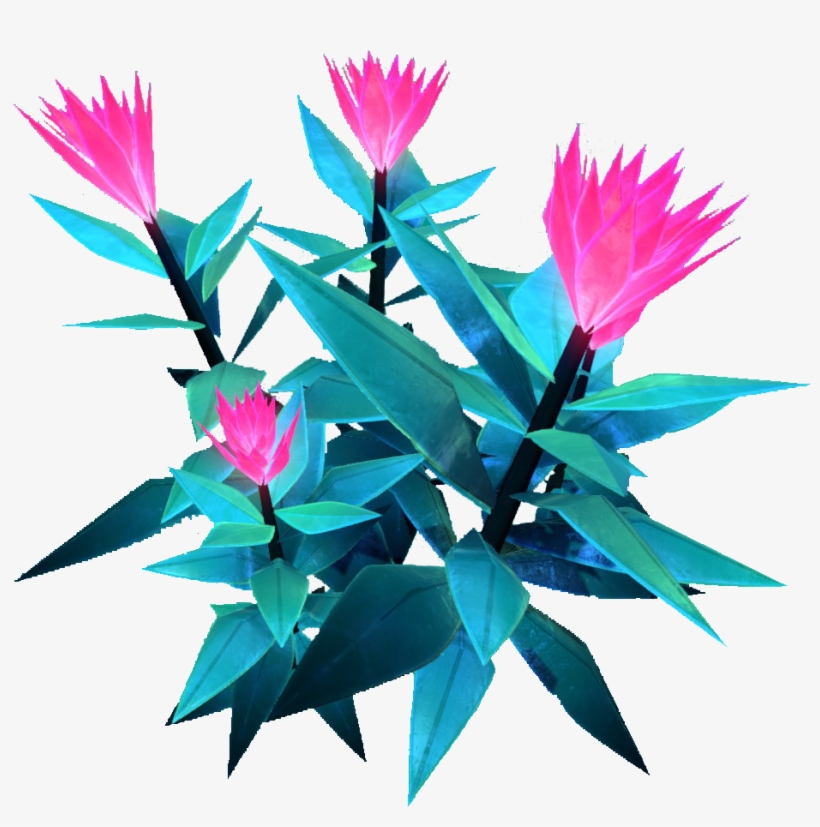 Pink Flower Flora - Flower - 1600x900 PNG Download - PNGkit