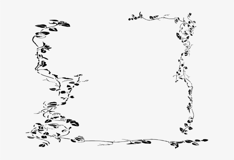 Vine Border Drawings - 640x480 PNG Download - PNGkit