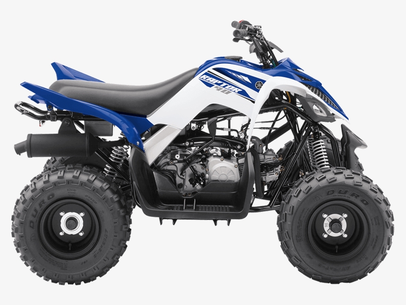 2018 Raptor 90 Blue Right - Yamaha Raptor 90 2018 - 775x536 PNG ...
