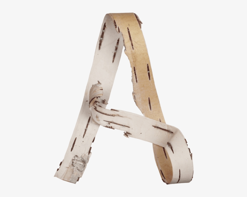 Birch Bark Font - Birch Bark - 595x595 PNG Download - PNGkit