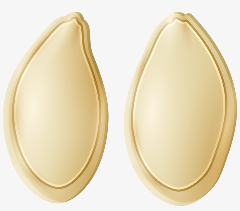 Pumpkin Seeds Png Clip Art - Pumpkin Seeds Clipart Png - 6545x5401 PNG ...
