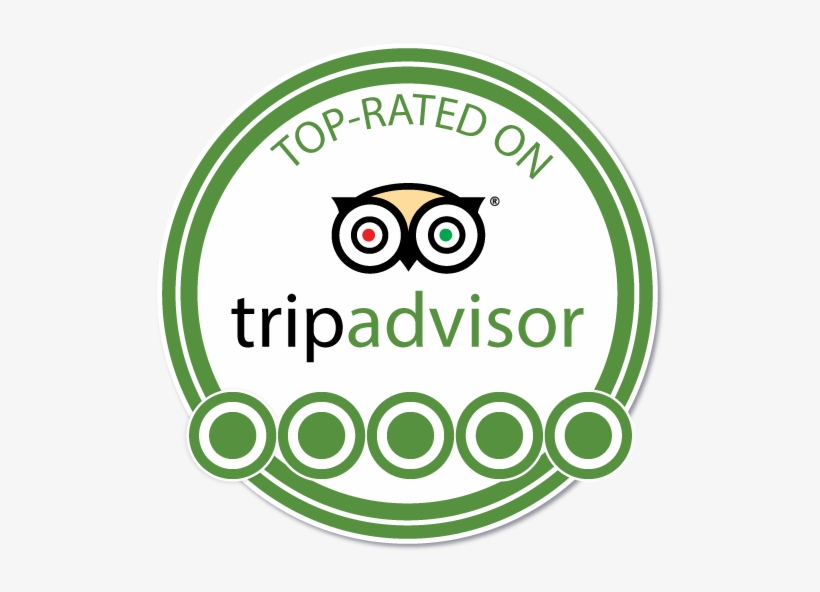 Trip Advisor Top Rated - 539x545 PNG Download - PNGkit