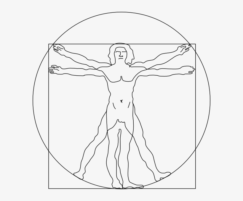 Vitruvian Man Outline Svg - 600x600 PNG Download - PNGkit