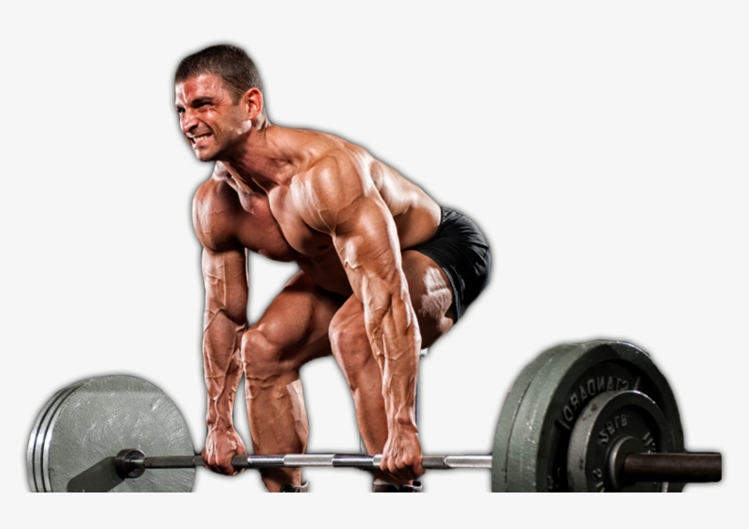Muscle Transform - Testosterone - 779x500 PNG Download - PNGkit