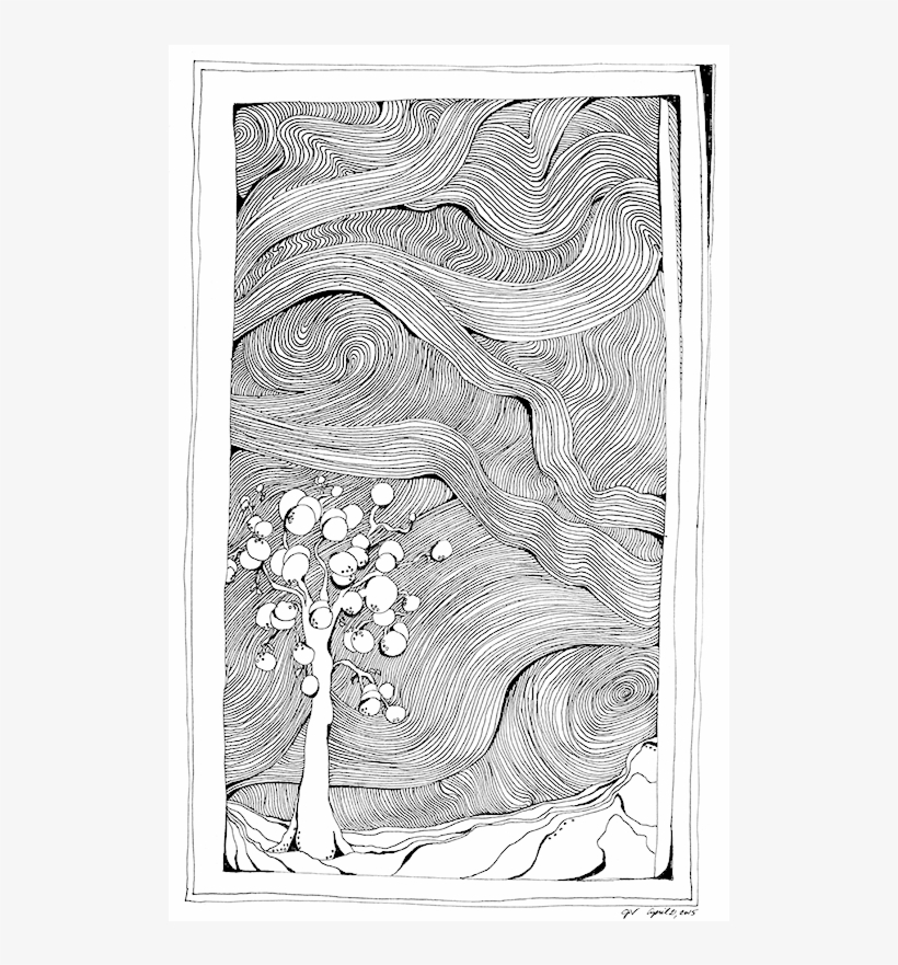 Little Snowball Tree Pen & Ink Art - Drawing - 800x800 PNG Download ...