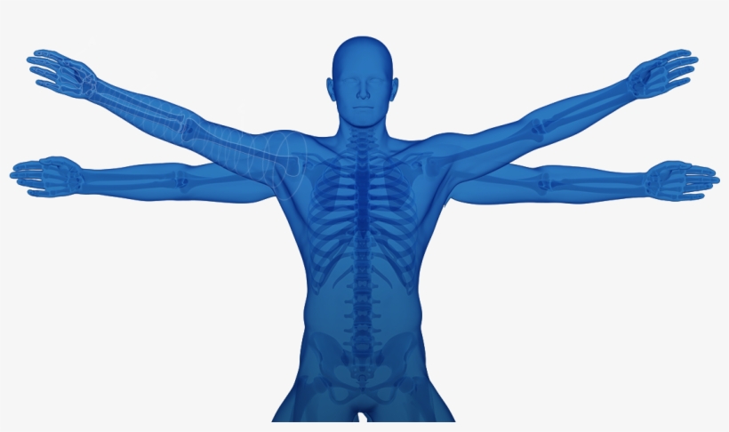 Get To Know The Hand & Upper Extremity Team - Male - 1114x650 PNG ...