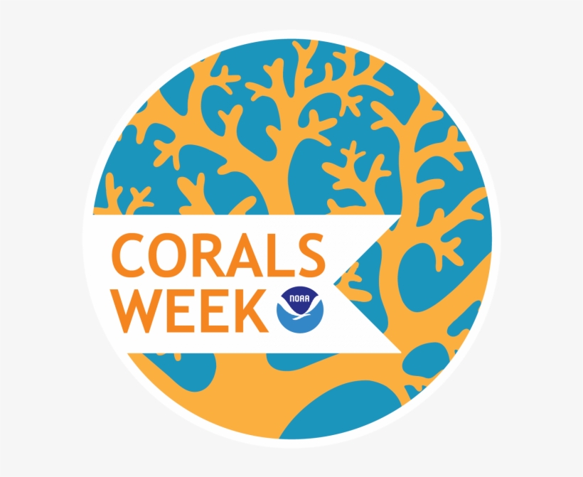 Corals Week Identity Marker - Noaa - 600x600 PNG Download - PNGkit