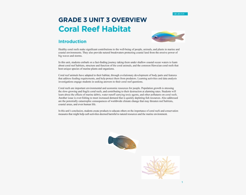 Coral Reef Habitat - Habitats In The Coral Reef - 440x571 PNG Download ...