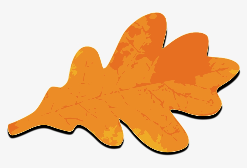 Fall Leafs Orange Png Images - Oak Leaves Clip Art - 778x479 PNG ...