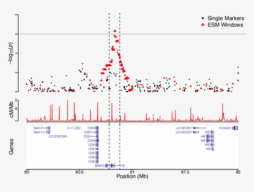 Region Plot For Sema3c Hit - Diagram - 850x566 PNG Download - PNGkit
