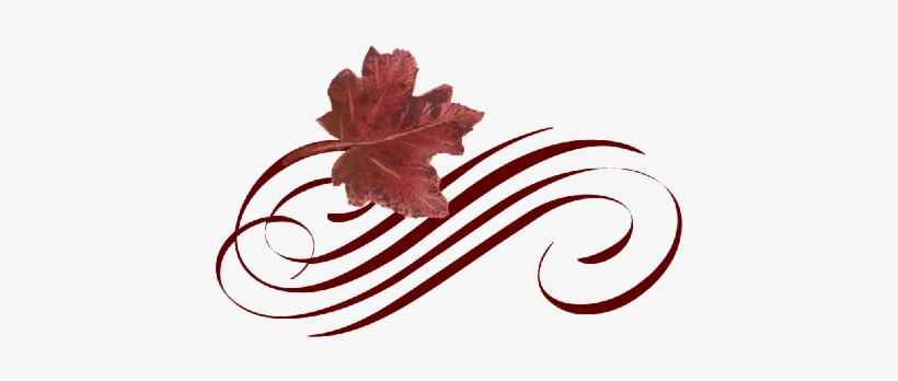 Leaf Flourish - Leaf Flourishes - 519x346 PNG Download - PNGkit