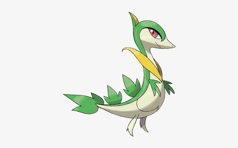 Favorite Identical Middle Stage Evolution - Pokemon Servine - 475x475 ...