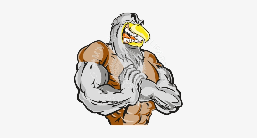 Eagle Clipart Muscle - Bee Mascot - 347x361 PNG Download - PNGkit