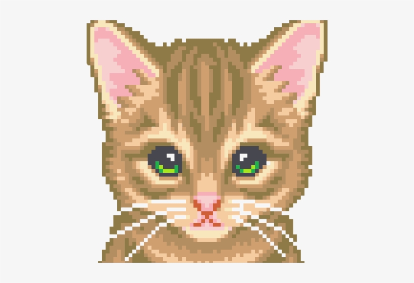 8 Bit Cat Gif - 480x480 PNG Download - PNGkit