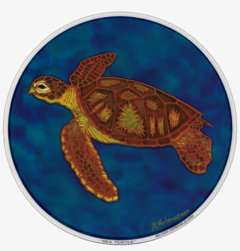 Download Transparent Window Sticker / Decal - Sea Turtle - PNGkit