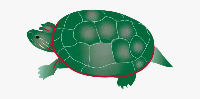Clipart Snapping Turtle