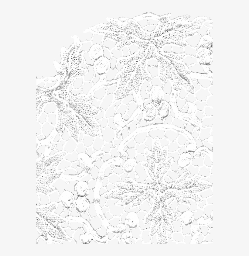 Normal Map Image = Md5 Texture Slot - Lace Opacity Map - 580x762 PNG ...