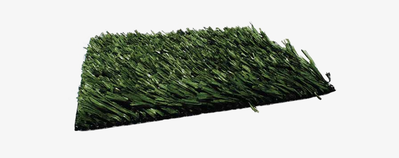 True Grass Pl53 - True Grass - 600x267 PNG Download - PNGkit