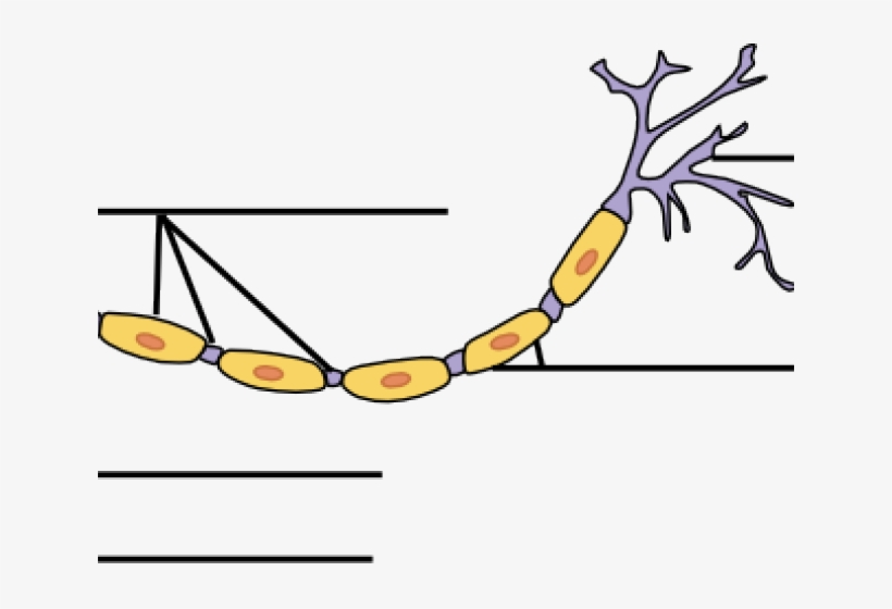 Neuron Blank