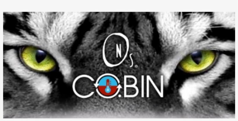 Cobin Tiger Eye Nails - 1000x700 PNG Download - PNGkit