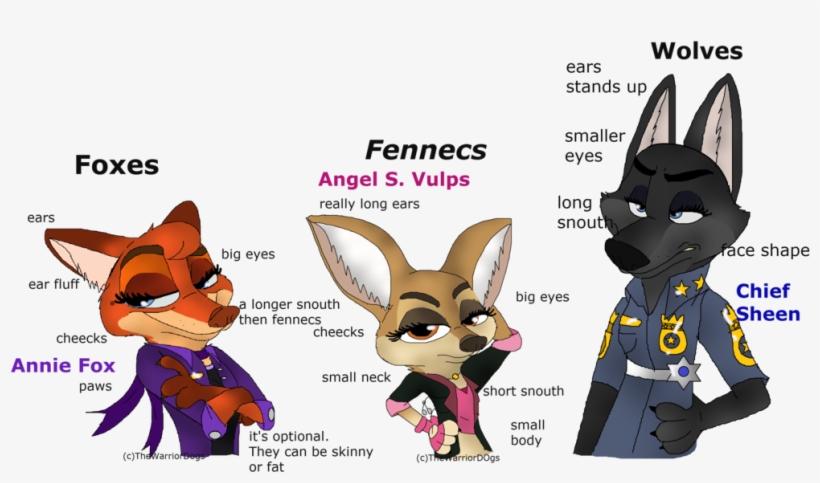 Zootopia - Draw A Zootopia Wolf - 1024x546 PNG Download - PNGkit