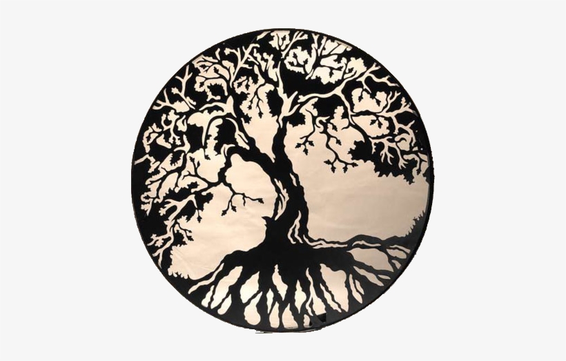 Tree Roots In A Circle - 500x500 PNG Download - PNGkit