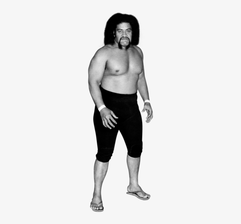 The Wild Samoans - Wwe Afa - 320x728 PNG Download - PNGkit