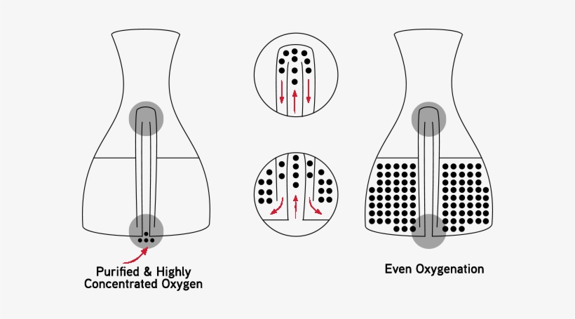Download Transparent Purified And Highly Concentrated Oxygen Flows ...