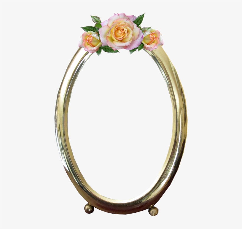 Frame, Oval, Gold, Rose, Decoration - Mirror - 506x720 PNG Download ...