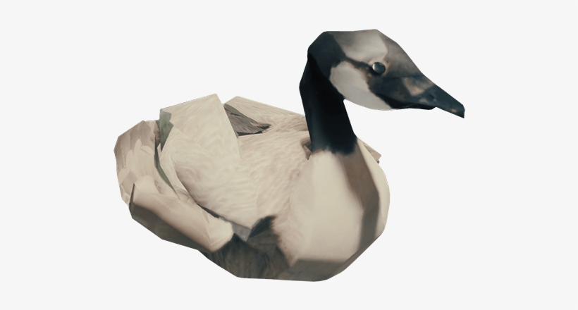 Goose - 500x500 PNG Download - PNGkit