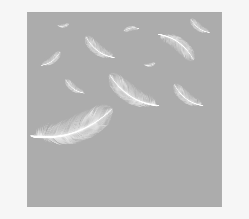 Download Transparent Floating Falling Feather, Feather, Feathers ...