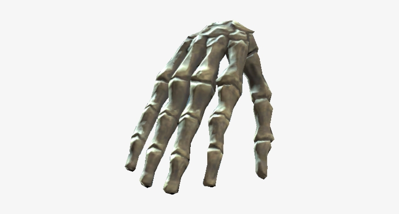 Right Hand Bones - Hand Bones Png - 450x435 PNG Download - PNGkit