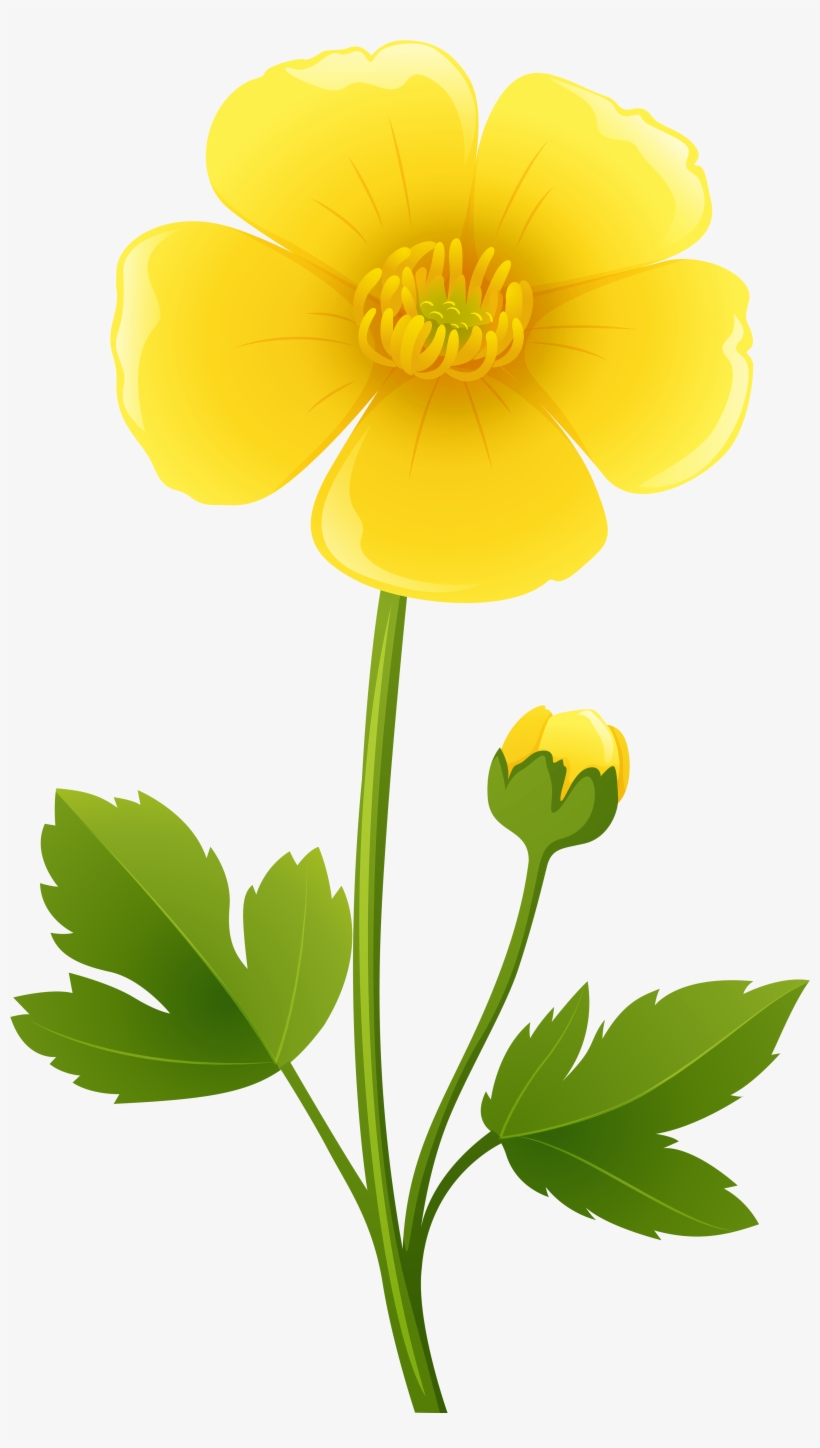 Download Transparent Yellow Flower Transparent Png Clip Art Image ...