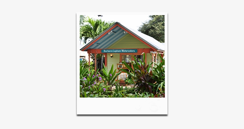 Fl Barbara Lapham Watercolors Studio - Florida - 463x463 PNG Download ...