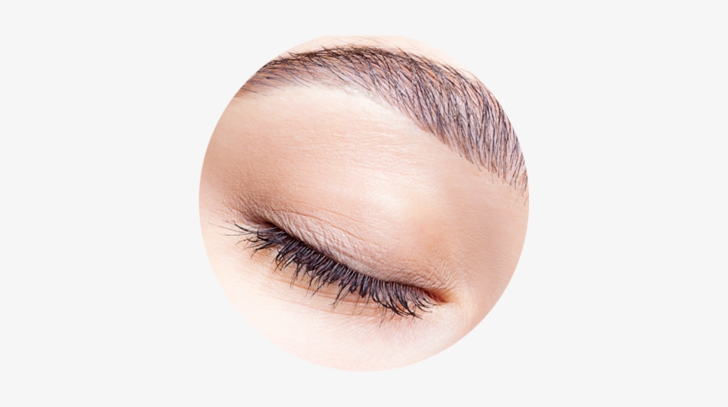 Download Transparent Read More‎ - Eyebrow - PNGkit