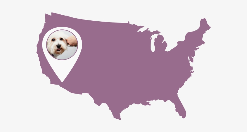 Map Hollywood Grooming@2x - Hillary And Trump States - 722x554 PNG ...