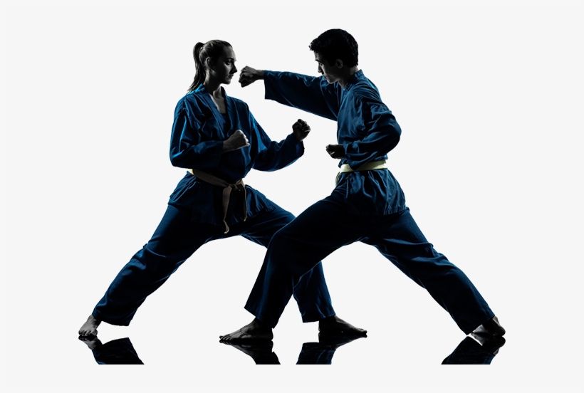 Adult Martial Arts - Martial Art Png - 600x472 PNG Download - PNGkit