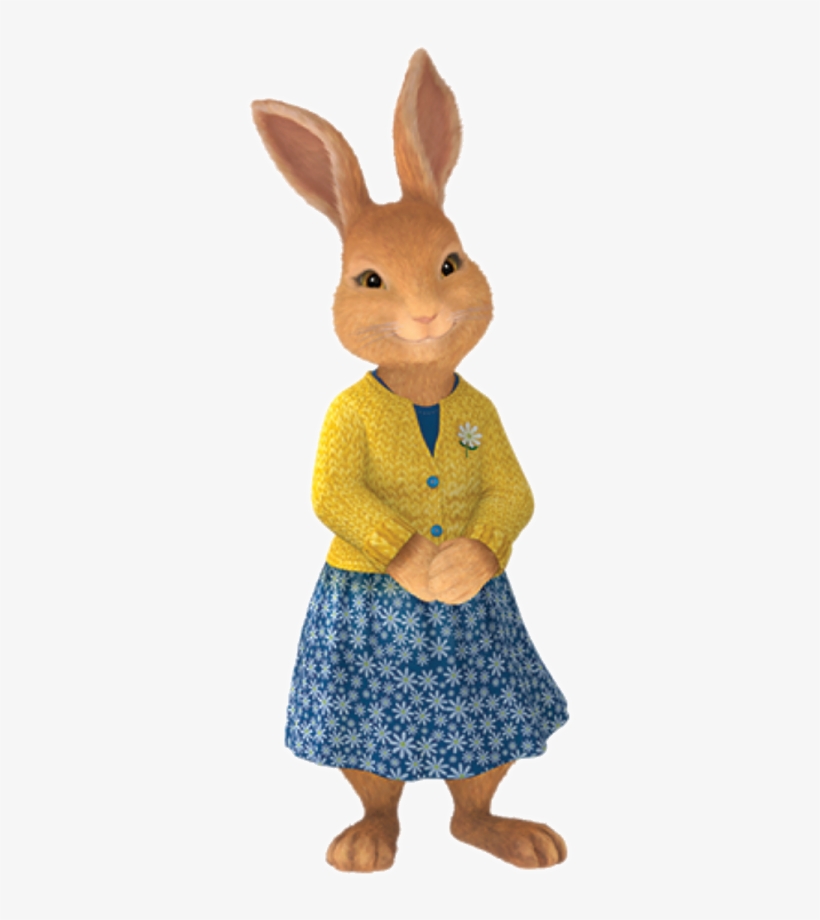 Rabbit Png, Rabbit Baby, Peter Rabbit Birthday, Peter - Peter Rabbit ...