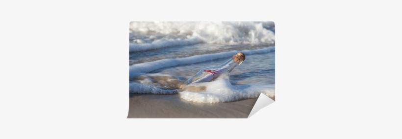 Photograph - 400x400 PNG Download - PNGkit