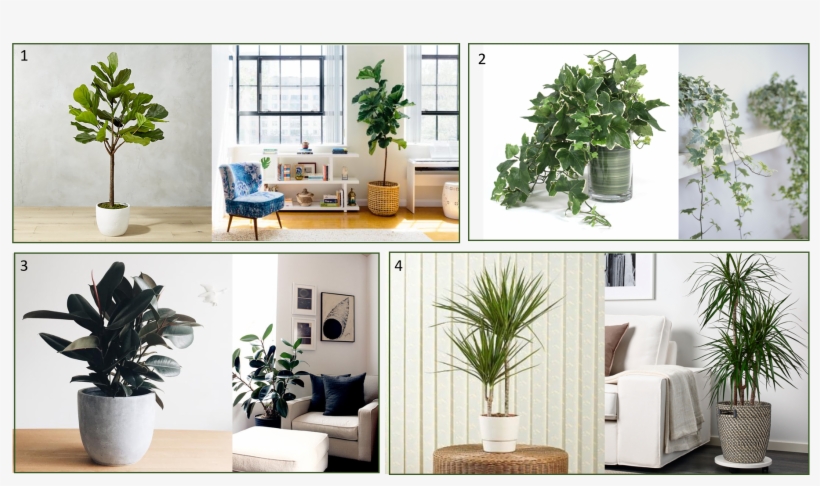 Plants - Creative Displays Faux English Ivy Plant In Glass Vase ...