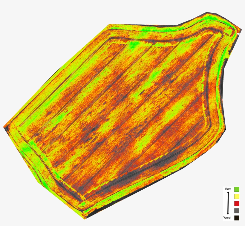 Ndvi Processed Single Camera Image - Illustration - 5469x4942 PNG ...