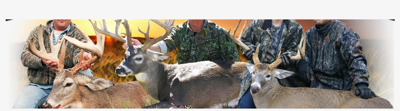 Trophy Ridge Whitetail Hunts - Deer Hunting - 952x220 PNG Download - PNGkit