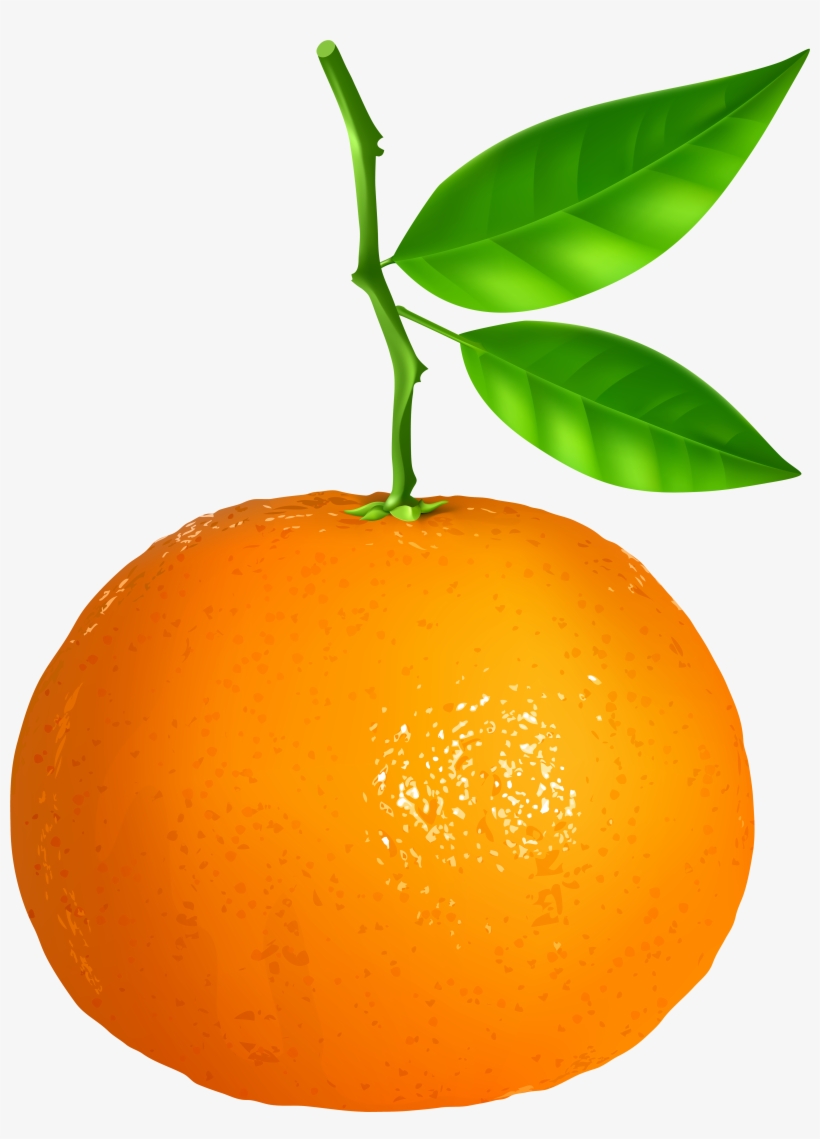 Tangerine Transparent Png Clip Art Image Gallery - 5258x7000 PNG ...
