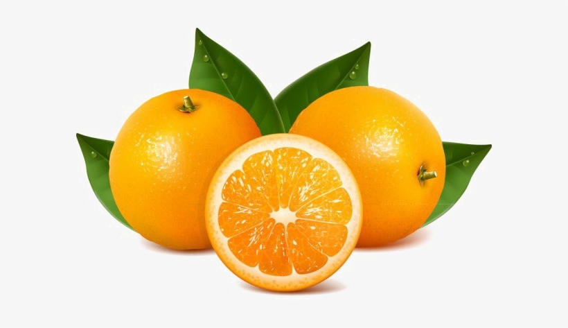 Orange Slice Png Transparent Image - Orange Fruit Images Png - 600x393 ...