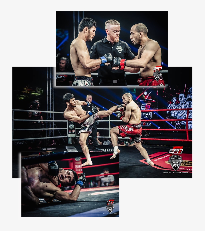 Someone's Winning Streak Is About To Be Ended That - Professional ...