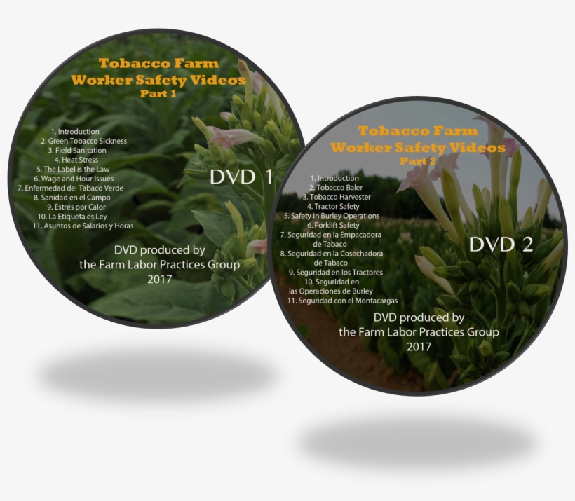 Download Transparent Dvd Safety Video - PNGkit