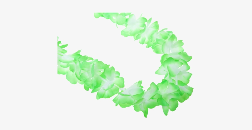 Download Transparent Hawaiian Lei Garland Green - Hawaii - PNGkit